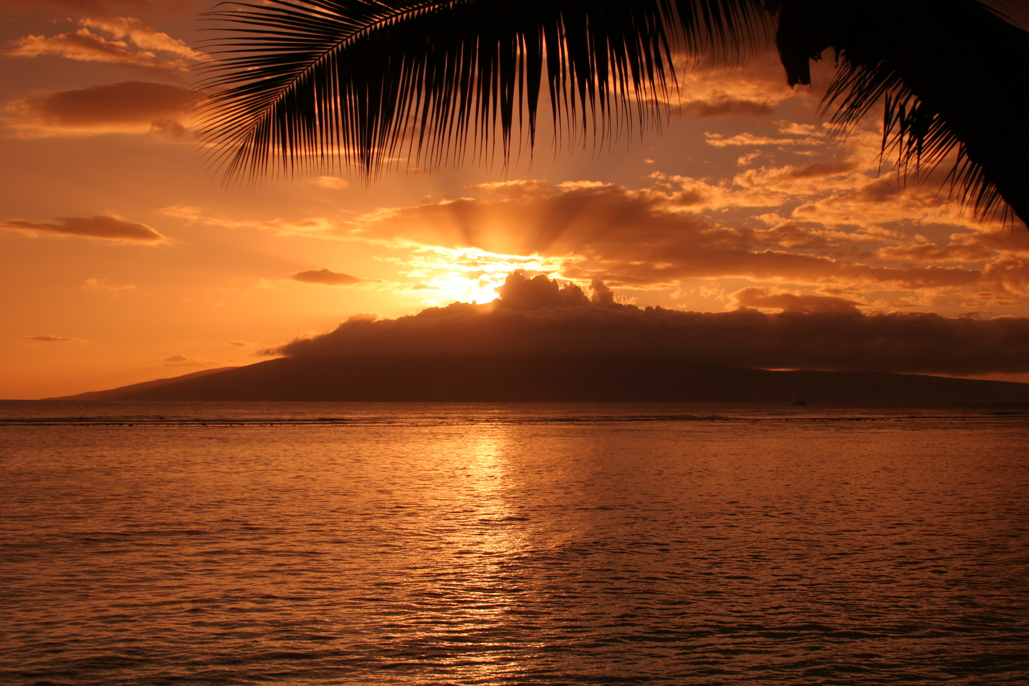 Economic Impact | Ship Repair Association of Hawai'i